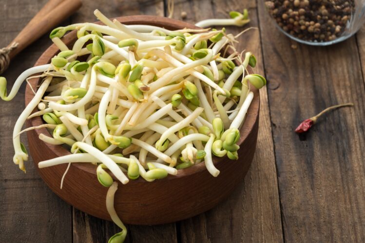 Types of Sprouts and How to Cook With Them – Mother Earth News
